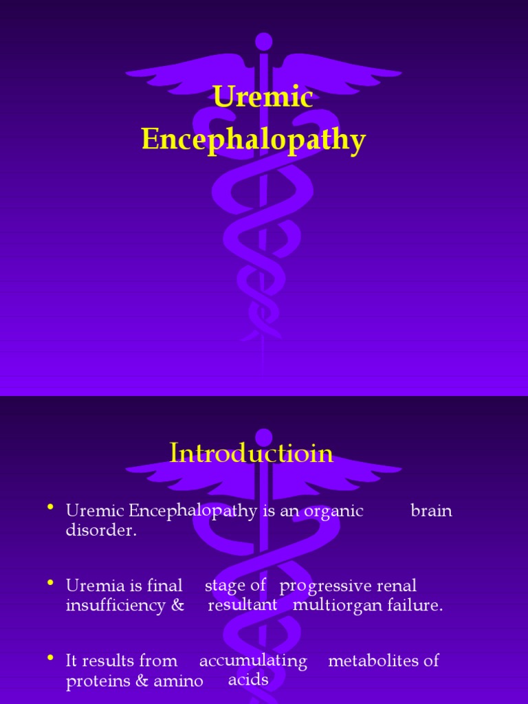 Uremic Encephalopathy | PDF | Diseases And Disorders | Causes Of Death