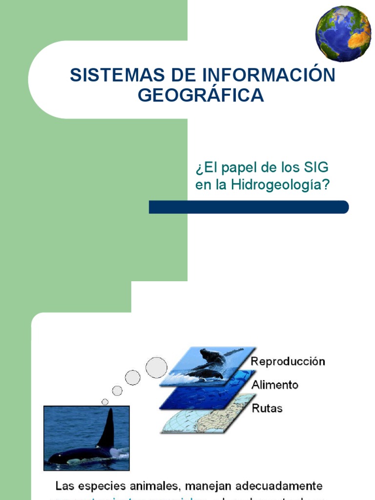 Enfoque de Los SIG | PDF | Sistema de información geográfica | Software