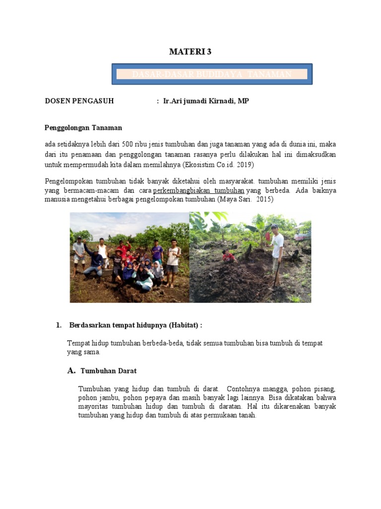 Materi 3 Penggolongan Tanaman | PDF