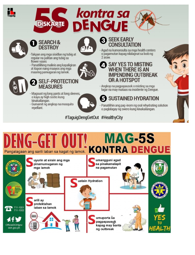 Dengue 5s | PDF