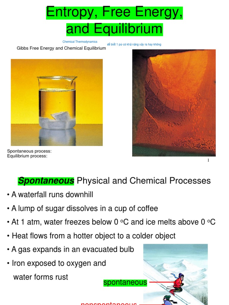 Lecture - 16 - Entropy, Free Energy, and Equilibrium | PDF