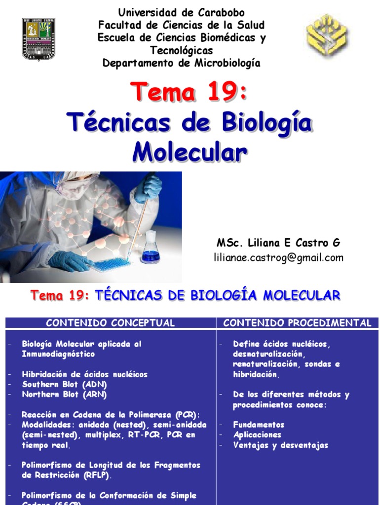 Tema 19:: Técnicas de Biología Molecular | PDF | Hibridación de ácido nucleico | Reacción en ...