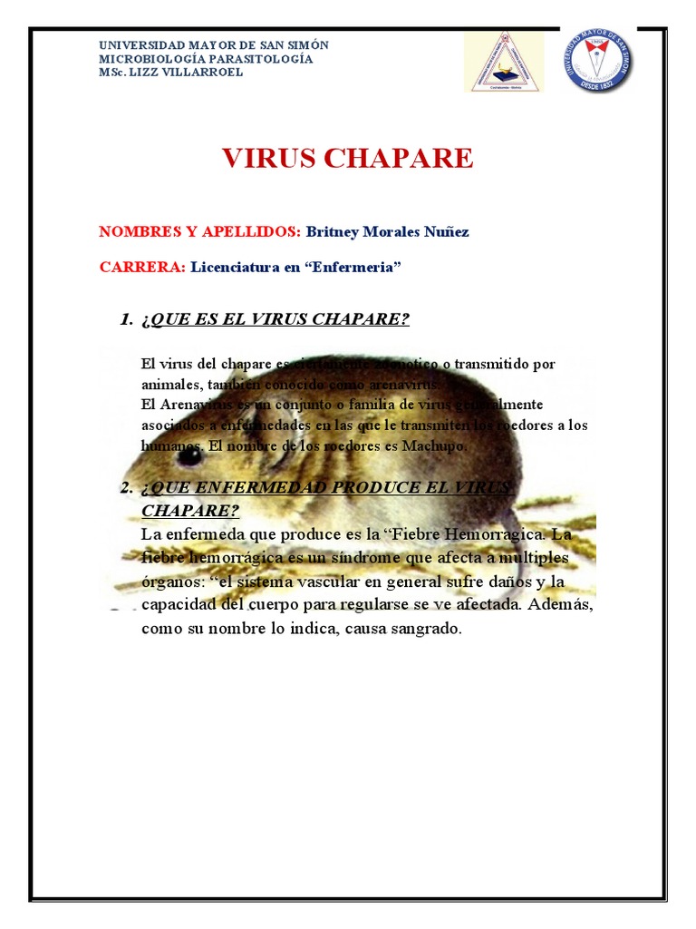 ¿Que Es El Virus Chapare? | PDF