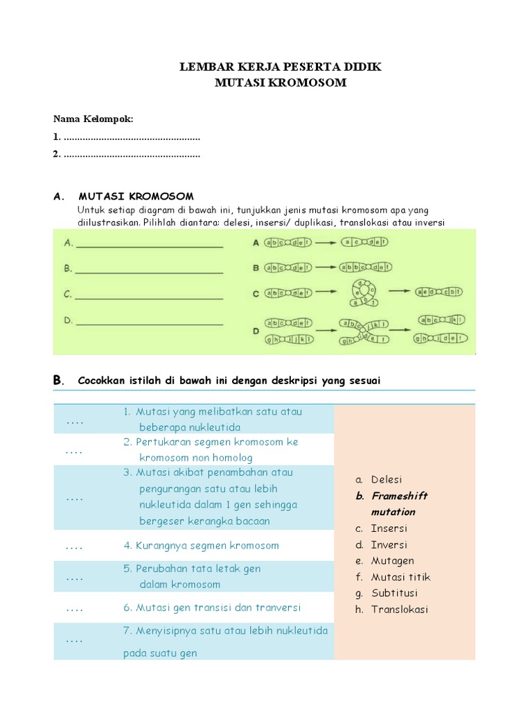 LKPD Mutasi Kromosom Dan Mutagen | PDF