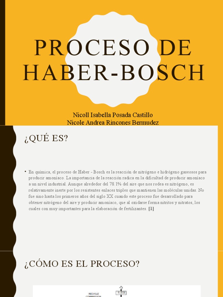 Proceso de Haber-Bosch | PDF