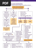 Ángulo de Louis | PDF | Tórax | Anatomía humana
