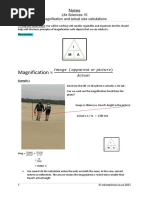 Magnification Worksheet | PDF | Units Of Measurement | Teaching Mathematics