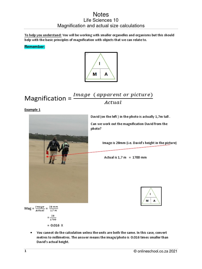 Magnification Notes | PDF
