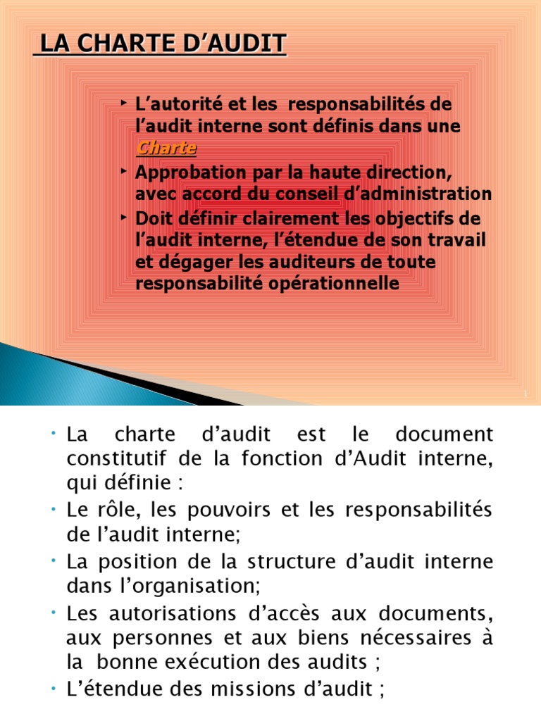 Charte D'audit | PDF