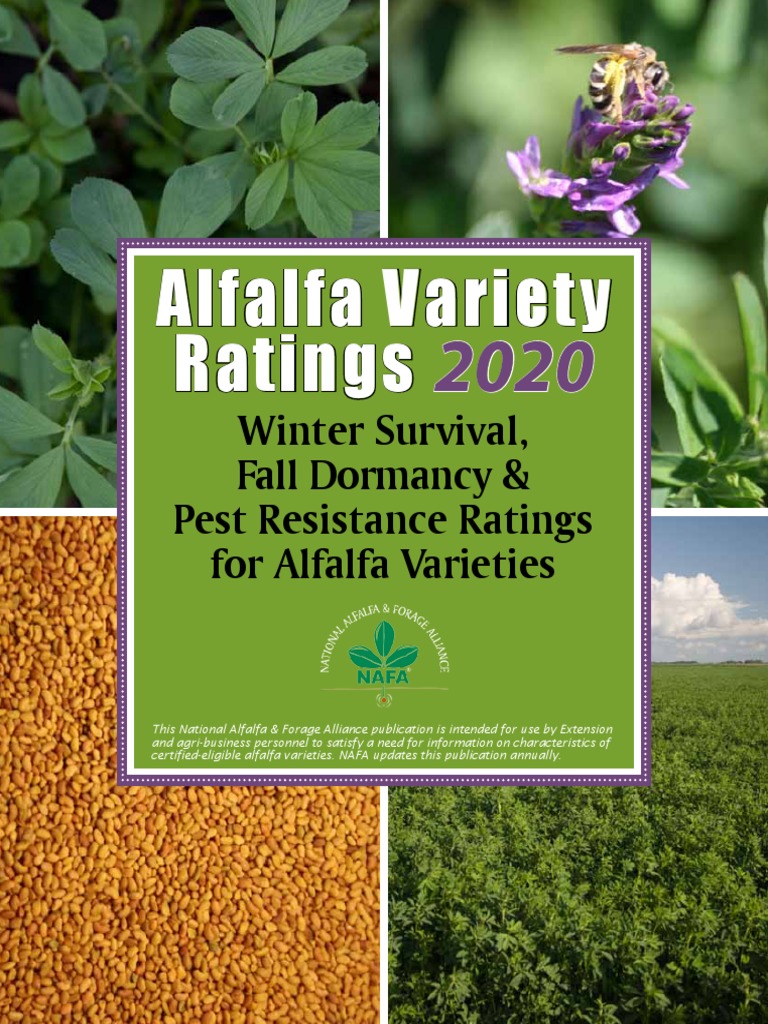2020 Alfalfa Variety Leaflet | PDF | Alfalfa | Plants