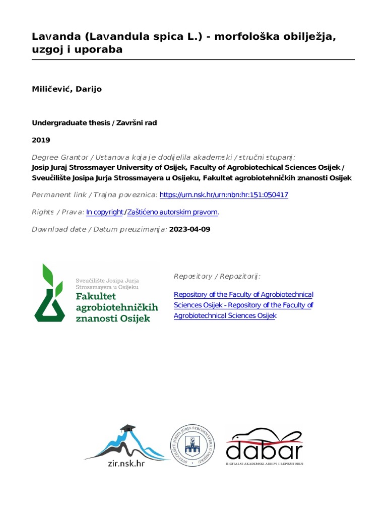 Lavanda | PDF