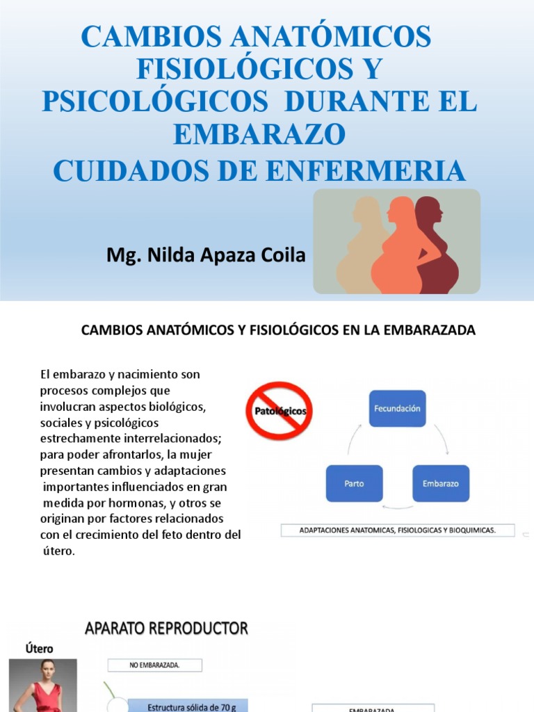 Cambios Anatómicos y Cuidados en Embarazo | PDF | El embarazo | Dieta