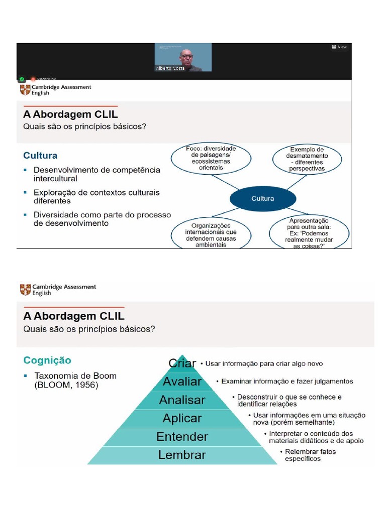 CLIL | PDF