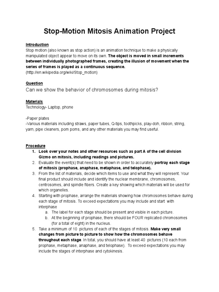 Mitosis Stop Motion Assignment | PDF Mitosis Stop Motion Assignment | PDF