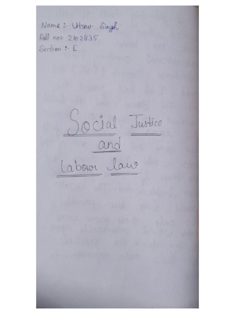 Social Justice Project | PDF