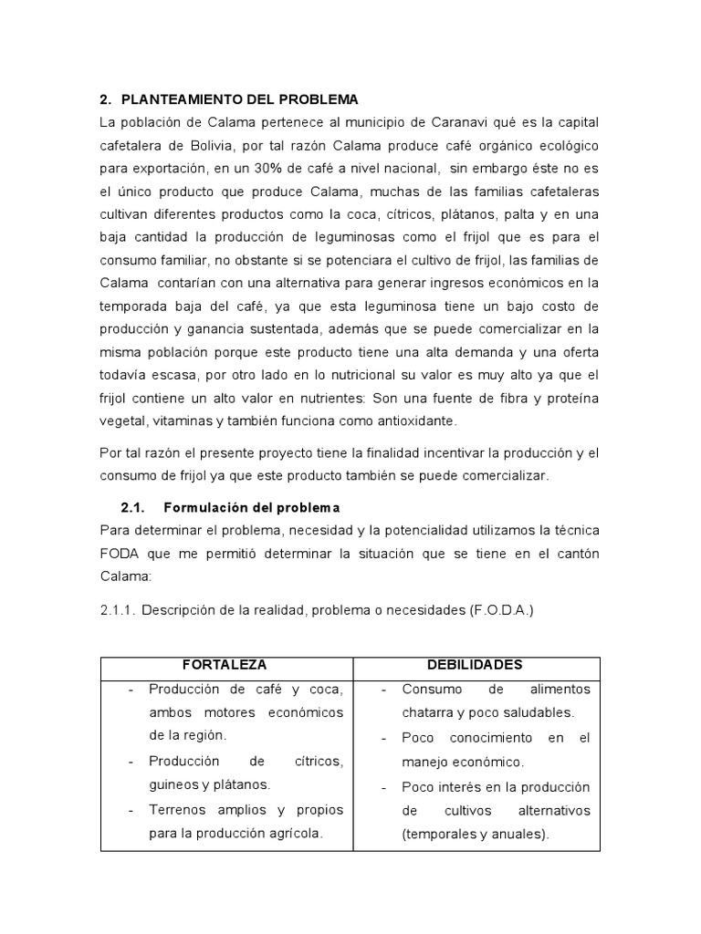 Planteamiento Del Problema | PDF | Frijol | Agricultura