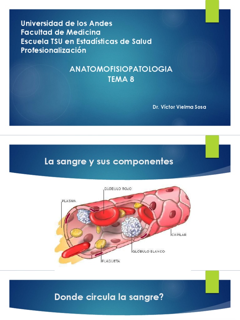 Sangre y Sus Componentes | PDF | Sangre | Sistema inmune