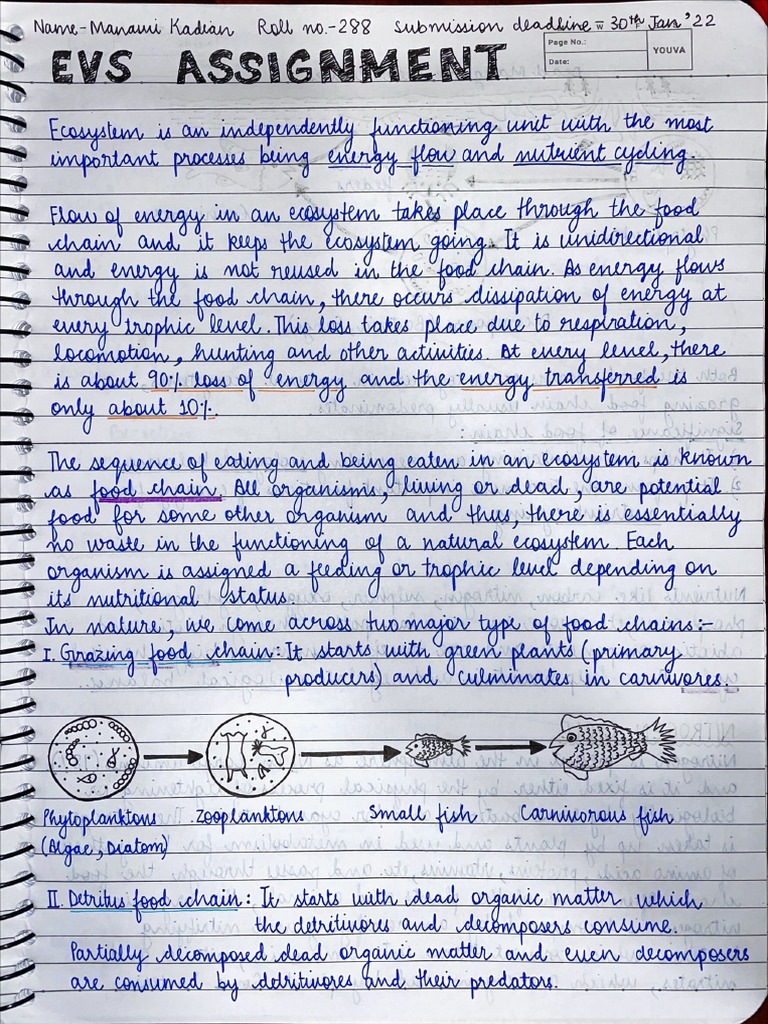 288 - Manasvi Kadian (EVS Assignment) | PDF