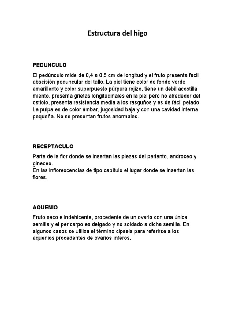Estructura Del Higo | PDF