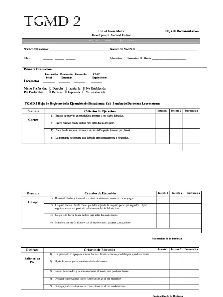 Aplicación del TGMD-2 en Evaluaciones | PDF | Pelota