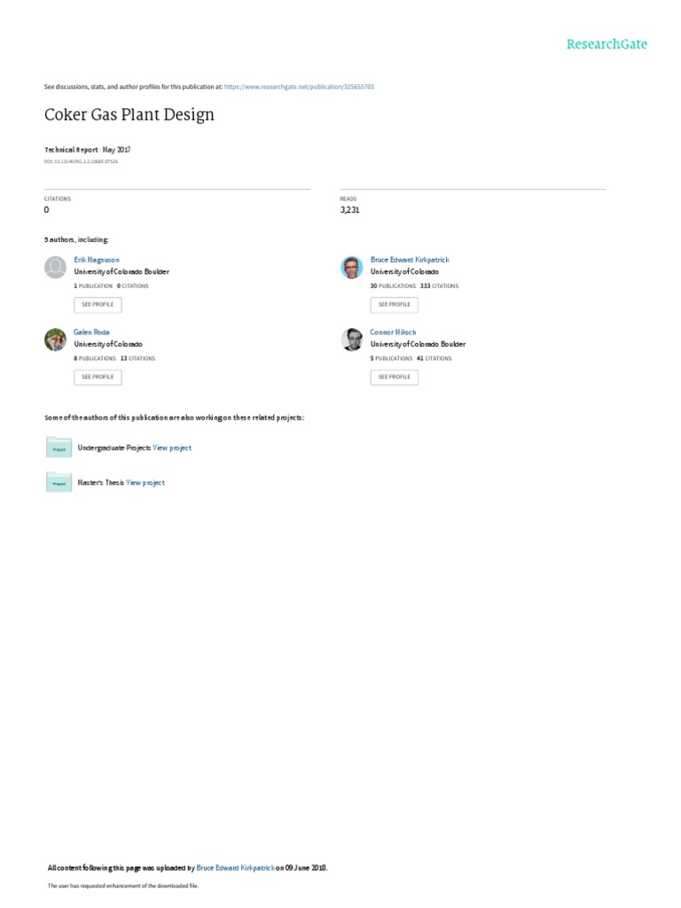 Coker Gas Plant Design: Technical Report | PDF | Net Present Value ...