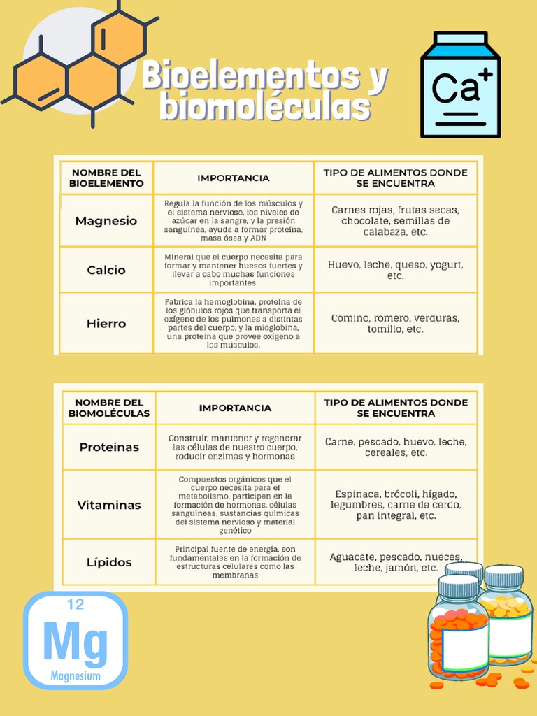 Bioelementos y Biomoléculas | PDF