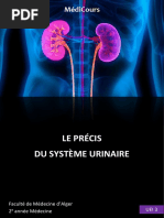 Anatomie des reins et leur vascularisation | PDF | Rein | Foie