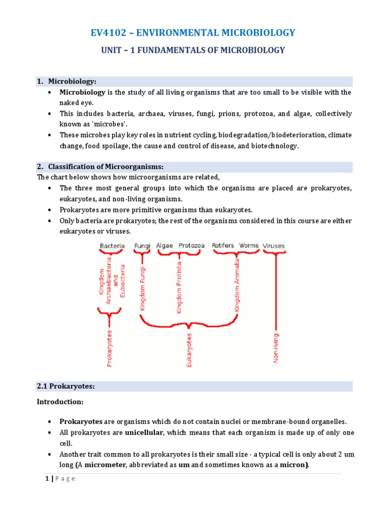 Environmental Microbiology Basics | PDF | Bacteria | Virus