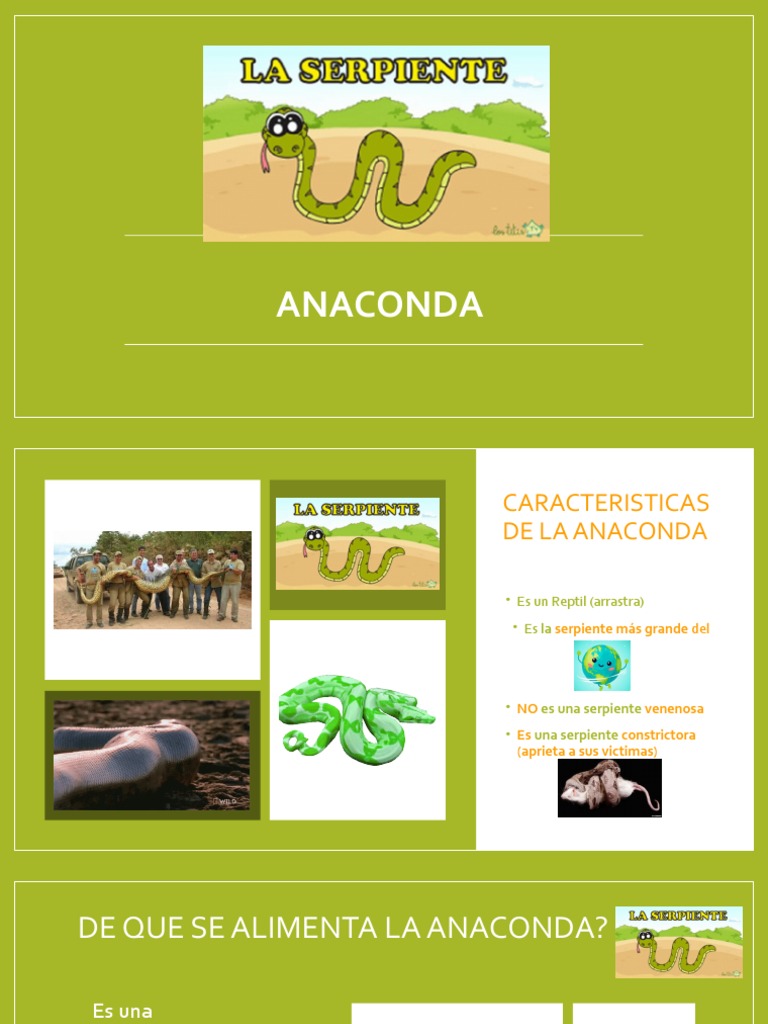 ANACONDA (1) PPT NIÑOS PRE BASICA | PDF