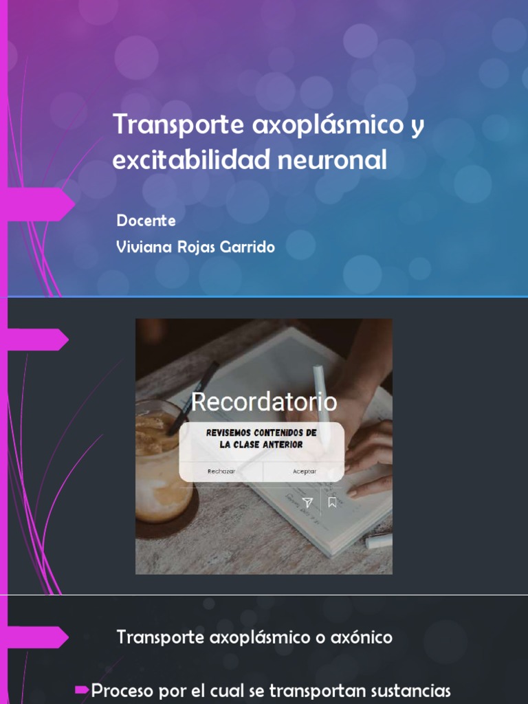 CLASE Transporte axoplásmico y excitabilidad neuronal PPT | PDF ...