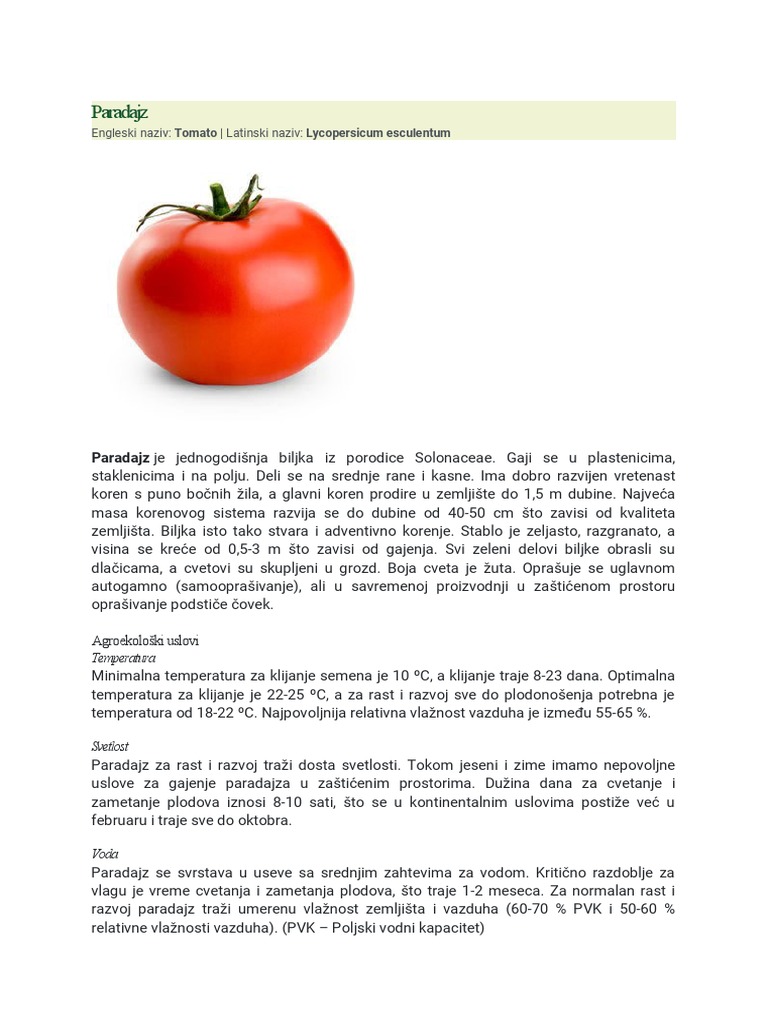 Paradajz | PDF