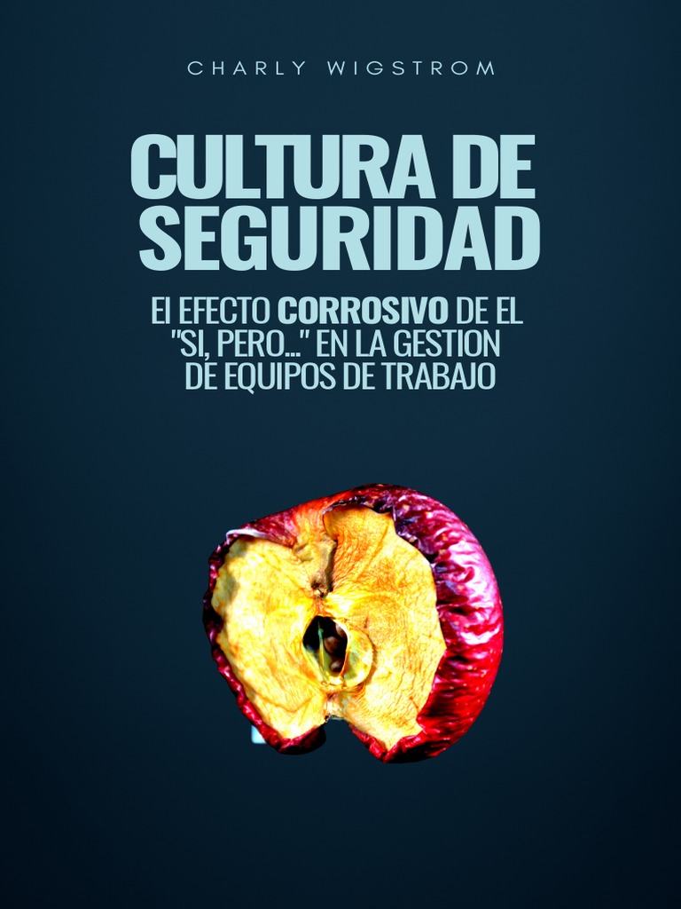 Cultura de Seguridad y El Poder Del Si Pero... | PDF | Toma de ...
