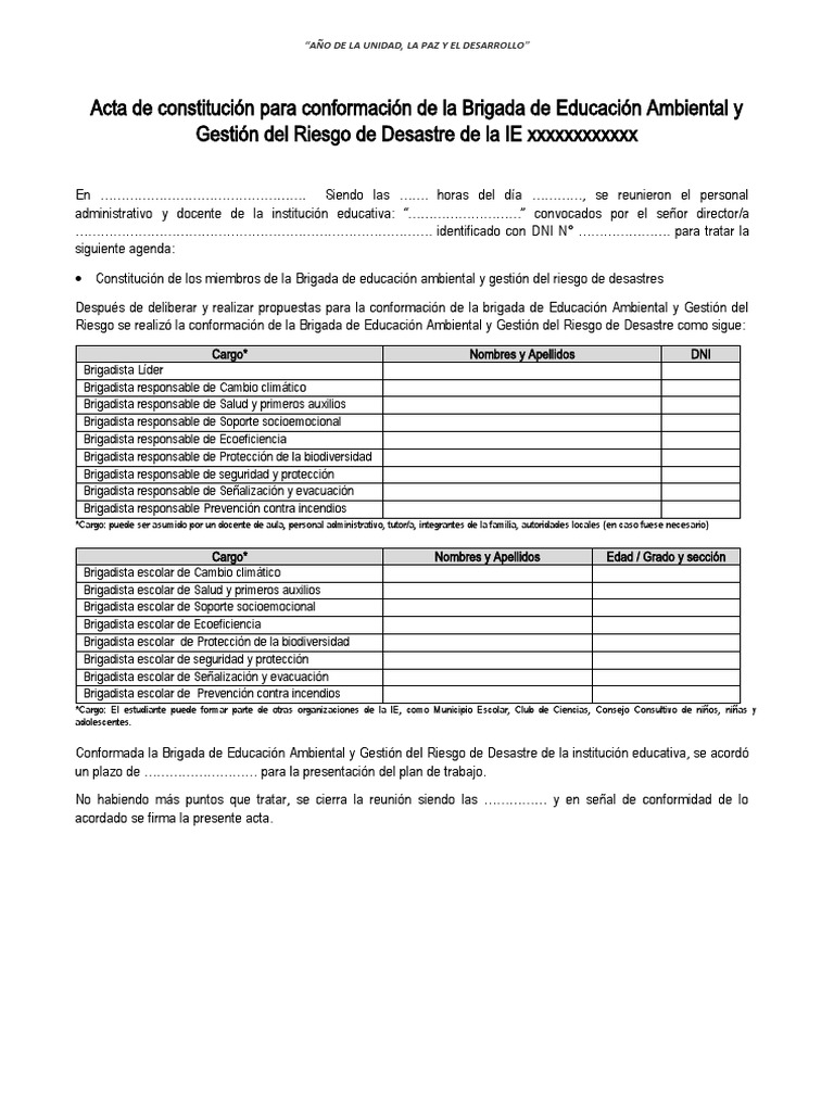 2 Acta de Constitución de La Conformación BEA y GRD | PDF