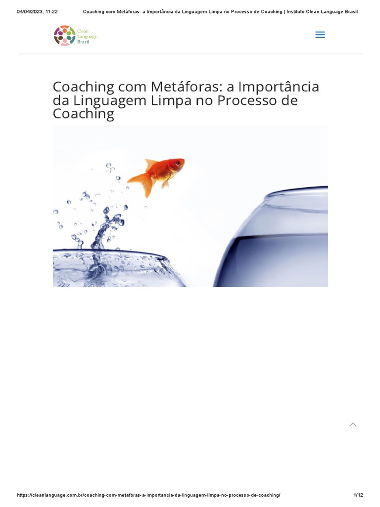 Coaching Com Metáforas - A Importância Da Linguagem Limpa No Processo ...