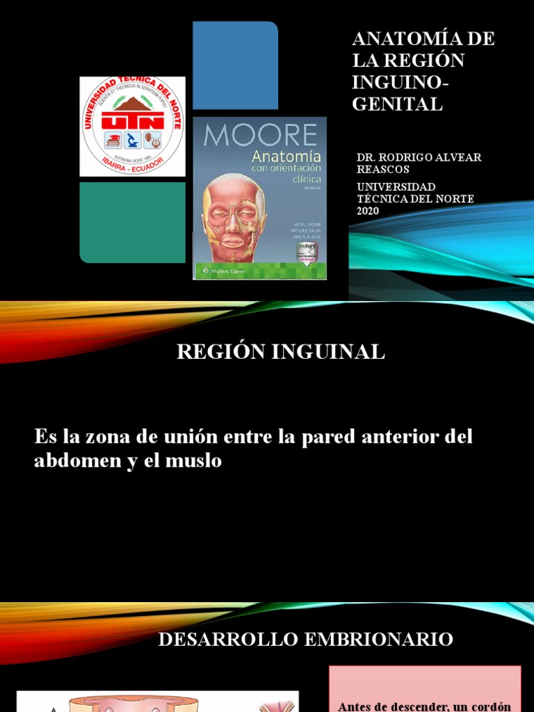 Anatomía de la Región Inguinal | PDF | Abdomen | Testículo