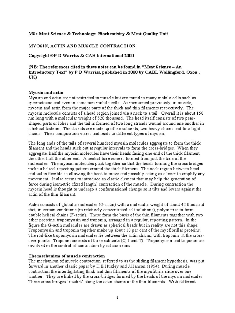 Myosin, Actin & Contraction Notes | PDF | Muscle Contraction | Actin