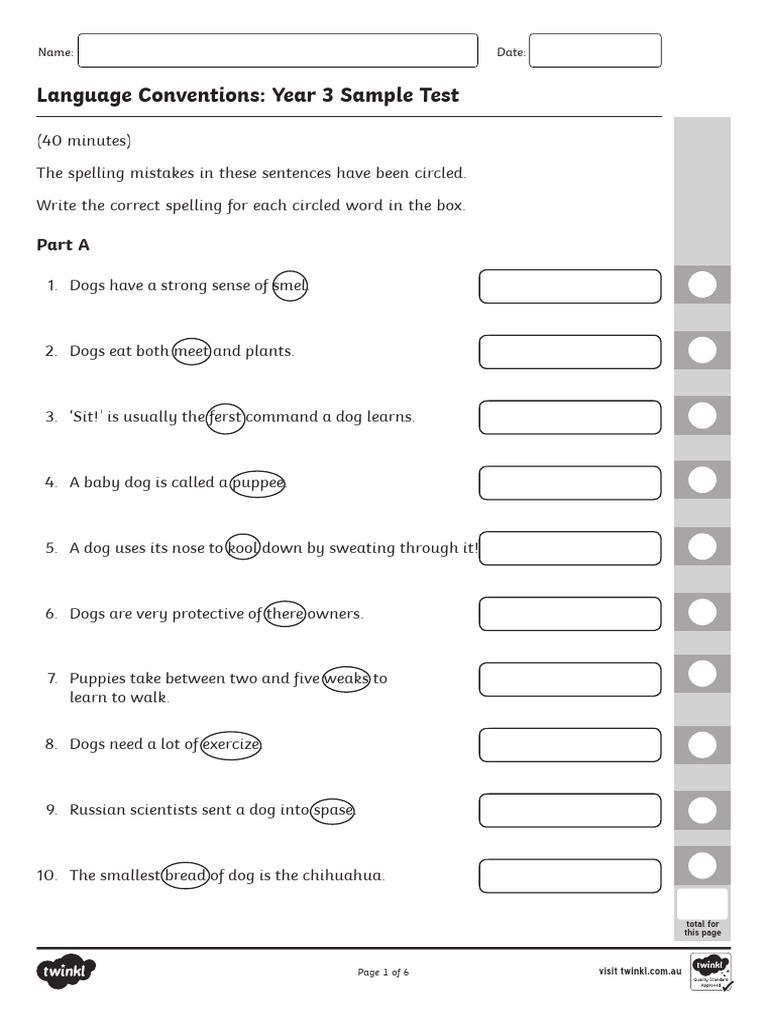 NAPLAN-Style English Example Test - Set 4 Year 3 Language Conventions ...