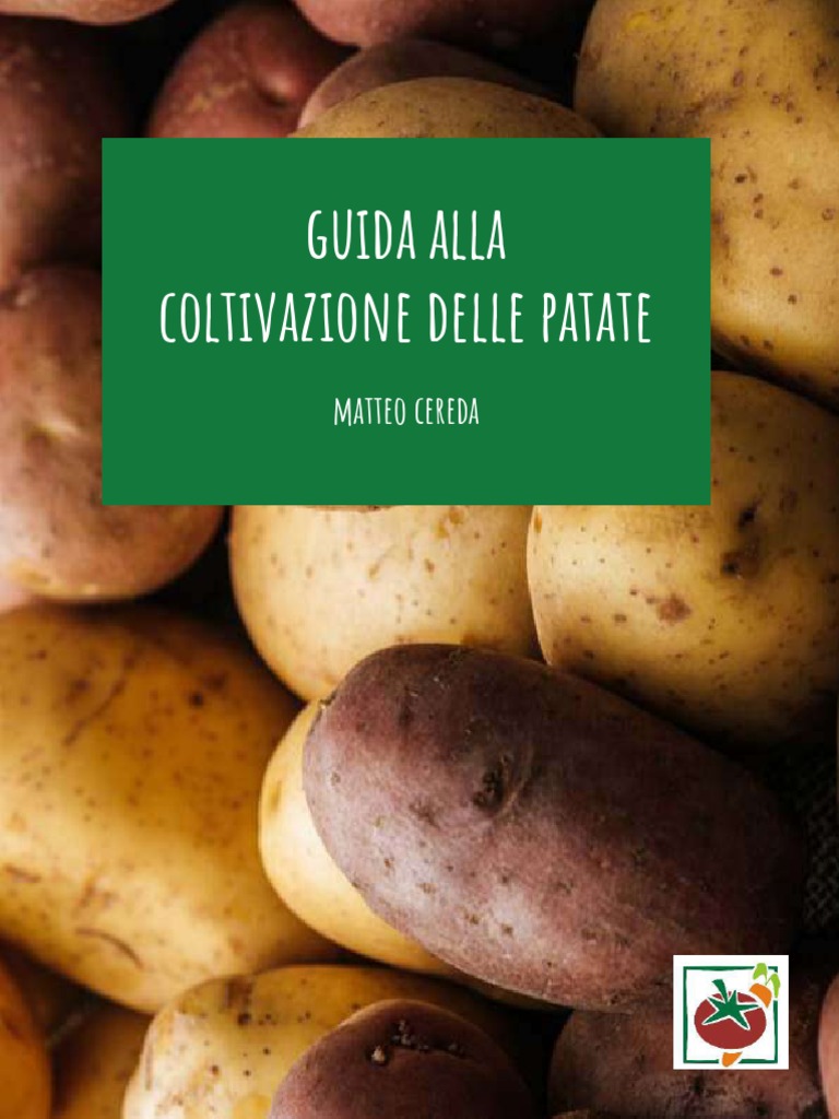 Guida Patate Orto Da Coltivare | PDF