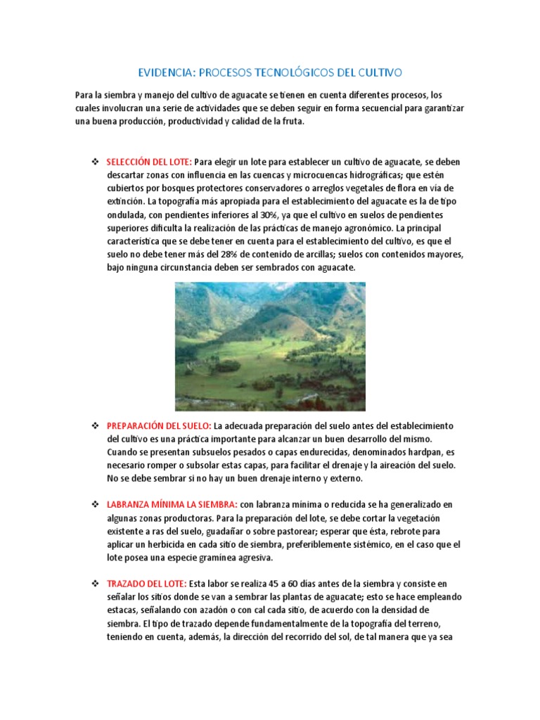 Evidencia: Procesos Tecnológicos Del Cultivo: Selección Del Lote | PDF | Calcio | Magnesio