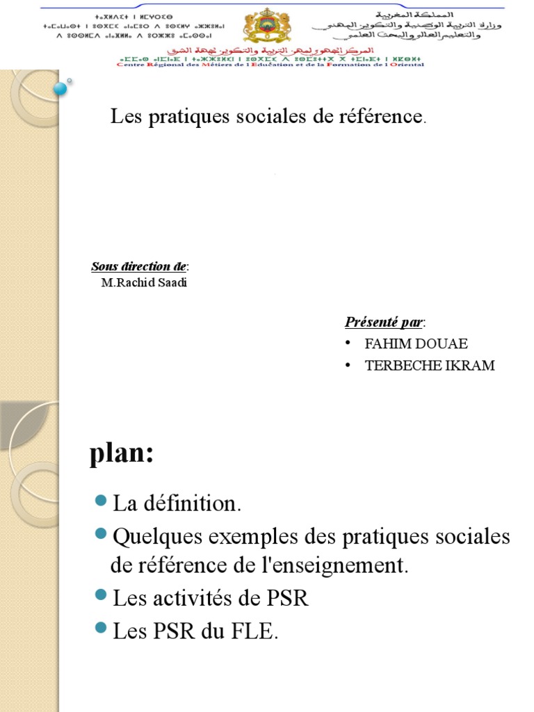 Les Pratiques Sociales de Référence | PDF