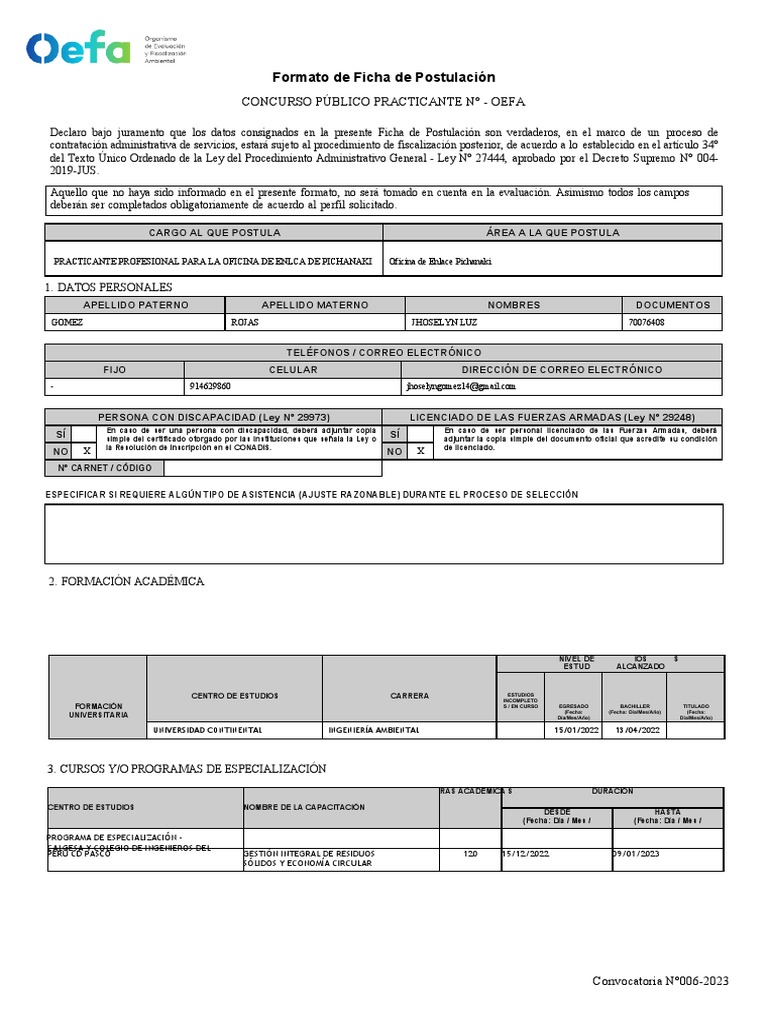 Formato de Ficha de Postulación: Concurso Público Practicante # - Oefa | PDF