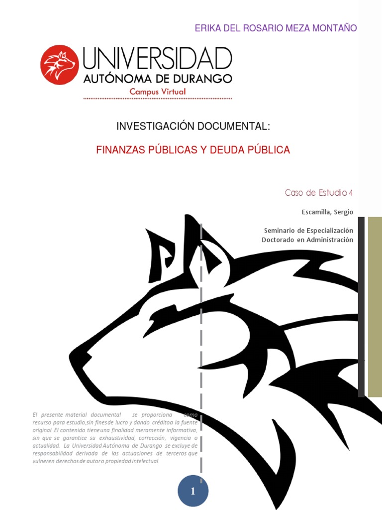 Finanzas Publicas y Deuda | PDF | Deuda gubernamental | Deuda