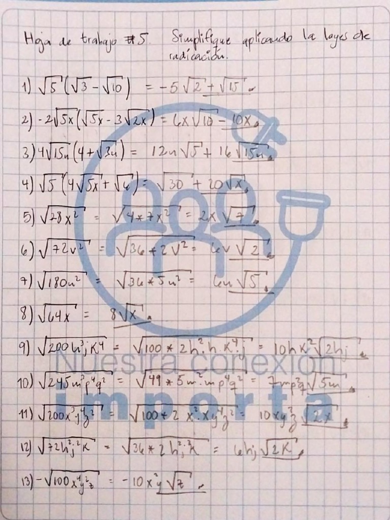 HOJA DE TRABAJO 5, Mate Basica | PDF