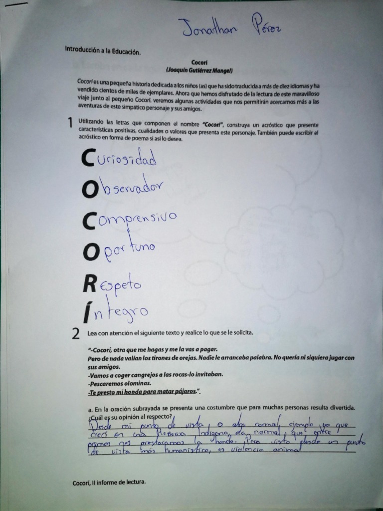 Analisis Cocori | PDF