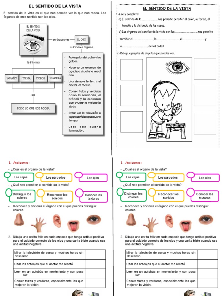 El Sentido de La Vista Es El Que Nos Permite Ver Lo Que Nos Rodea. Los ...