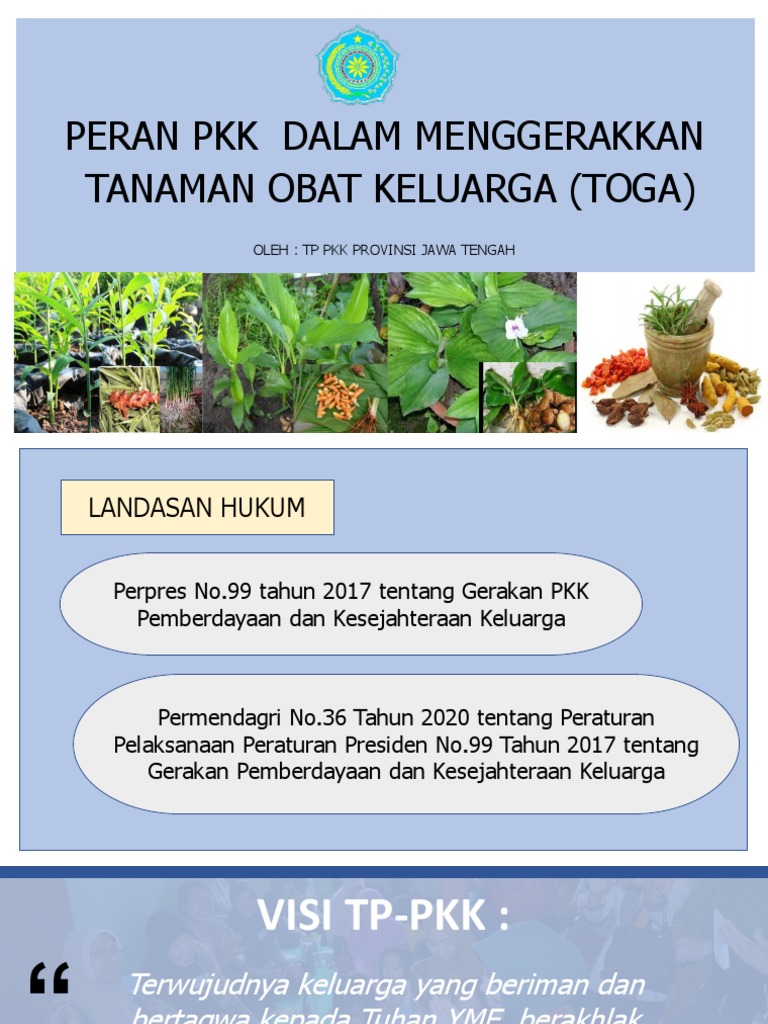 Peran PKK Dalam Menggerakkan Tanaman Obat Keluarga (Toga) : Oleh: TP ...
