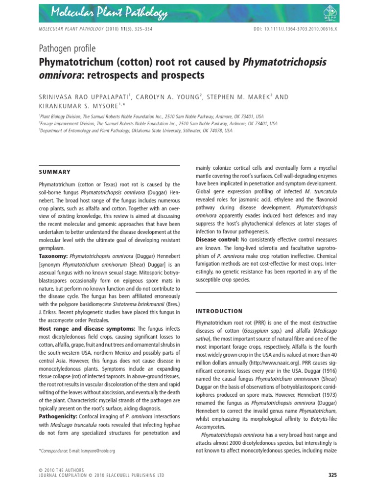 Phymatotrichum (Cotton) Root Rot Caused by Phymatotrichopsis Omnivora ...