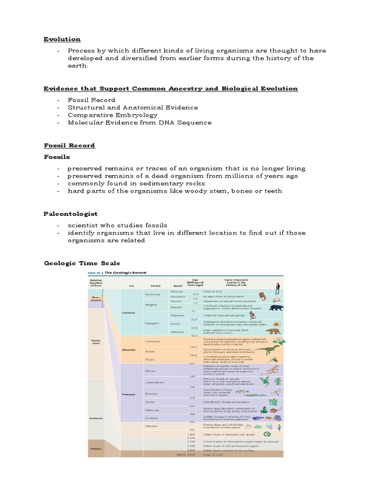 Evidence of Evolution | PDF | Fossil | Organisms