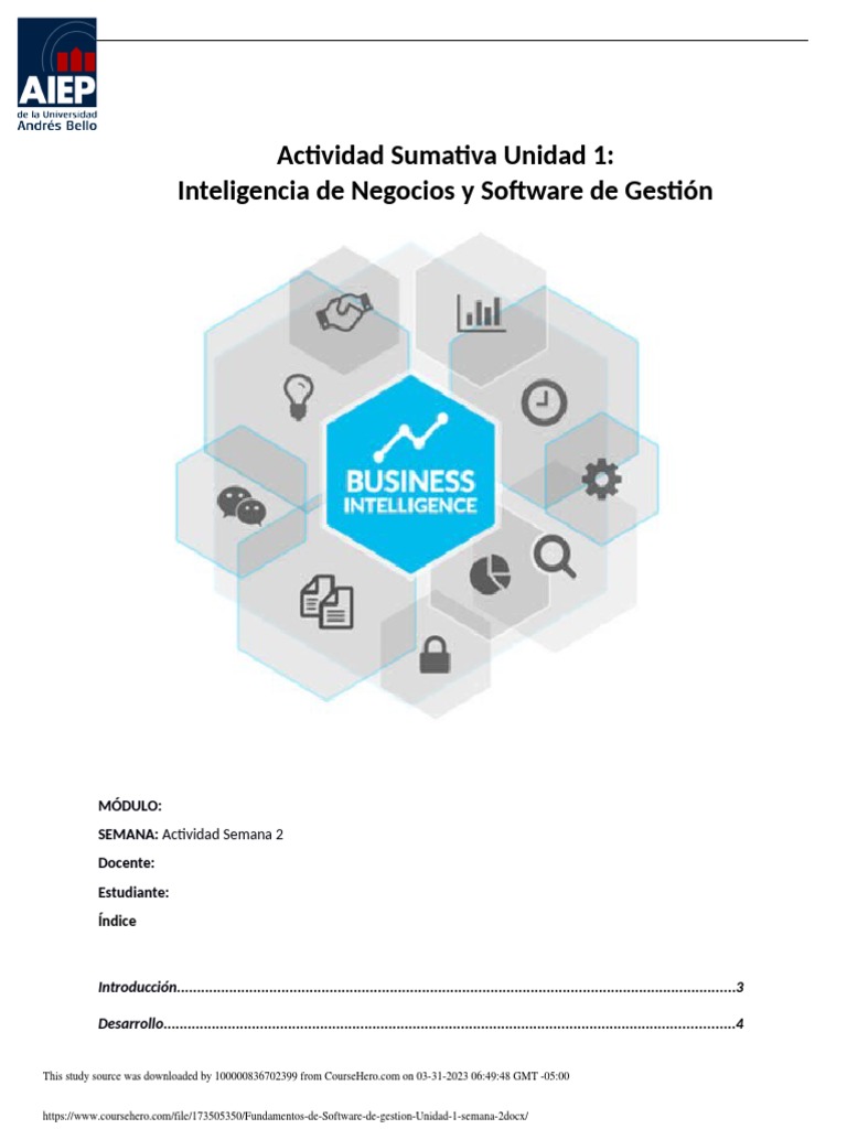 Actividad Sumativa Unidad 1: Inteligencia de Negocios y Software de Gestión | PDF | Inteligencia ...