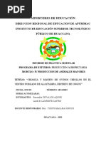 Porcinocultura en Bolivia | PDF | Bolivia | Carne